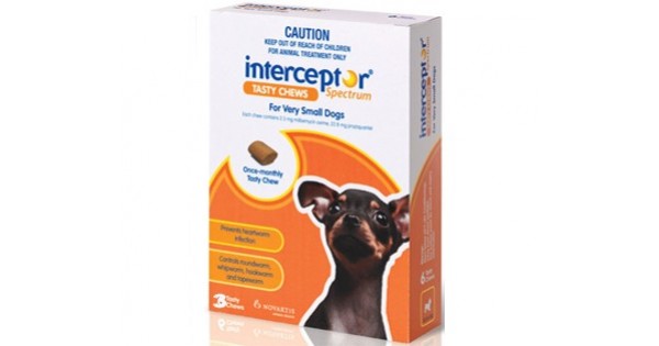 Interceptor Spectrum Very Small Brown - Dogs & Puppies
