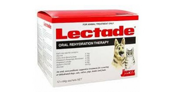 Lectade 64gm Sachets - Cats & Kittens
