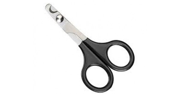 Bird claw scissors - Bird Products
