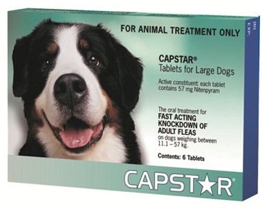 Capstar tablets Large Dogs 6 Pack - Dogs & Puppies