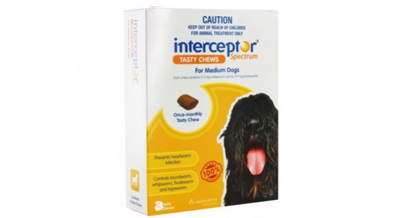 Interceptor Spectrum Medium Yellow - Dogs & Puppies