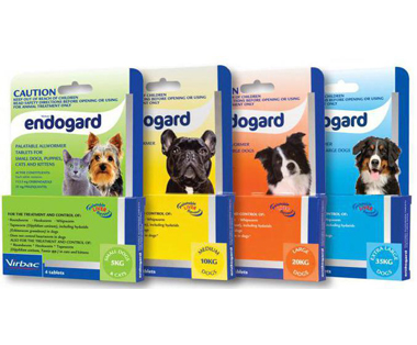 Endogard Allwormer for Dogs - Dogs & Puppies