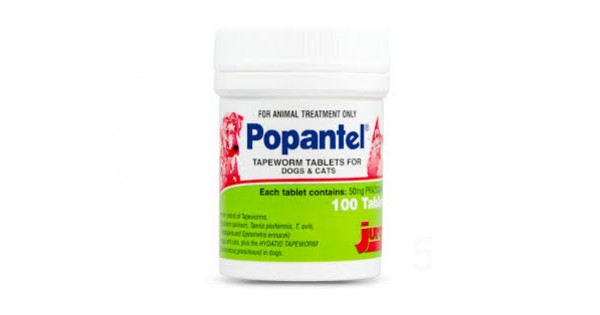 Popantel Tapeworm Tablets - Cats & Kittens