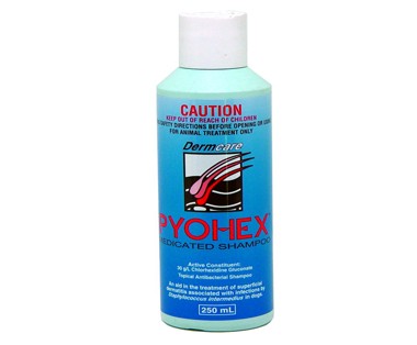 Pyohex Medicated Shampoo 250mL (8.5 fl oz) - Dogs & Puppies