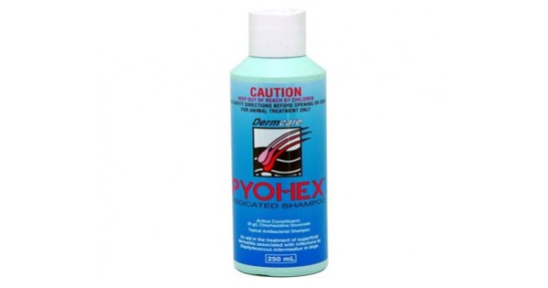 Pyohex Medicated Shampoo 250mL (8.5 fl oz) - Dogs & Puppies