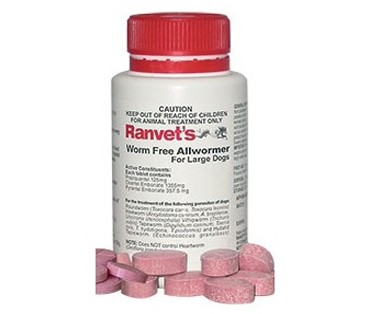 Ranvet Allwormer Tablets 25kg (55lb) - Dogs & Puppies
