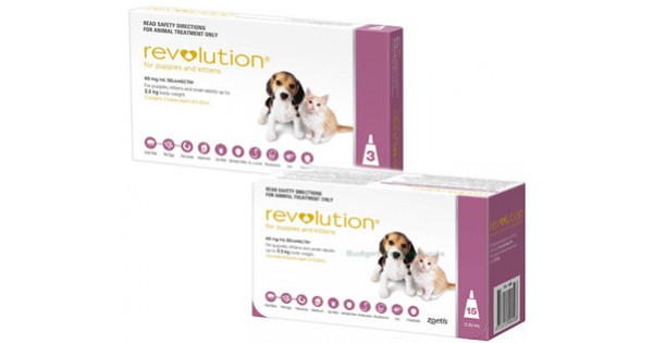 Revolution (Pink) For Puppies & Kittens - Cats & Kittens