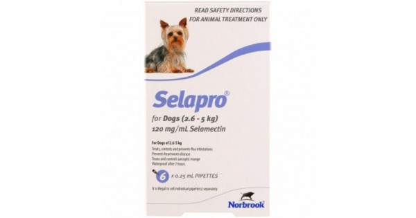 Selapro for Dogs (Purple) 2.6-5kg (5.7-11lbs) - Selapro