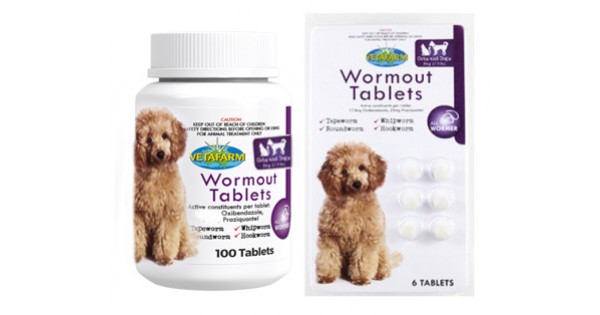 Wormout for Cats & Small Dogs 5 Kg (11lbs) - Intestinal Wormers