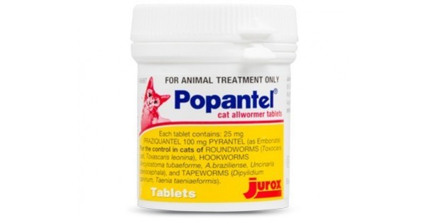 Popantel Cat Allwormer - Cats & Kittens